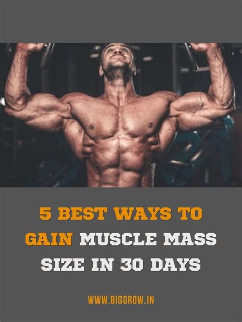 5 Best Ways To Gain Muscle Mass Size In 30 Days Biggrow