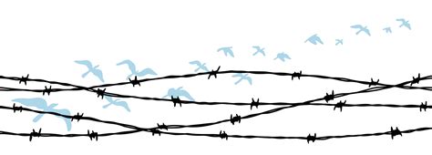 Flying Birds Behind Barbed Wire Fence Freedom Concept Hand Drawn Vector Illustration 14996435