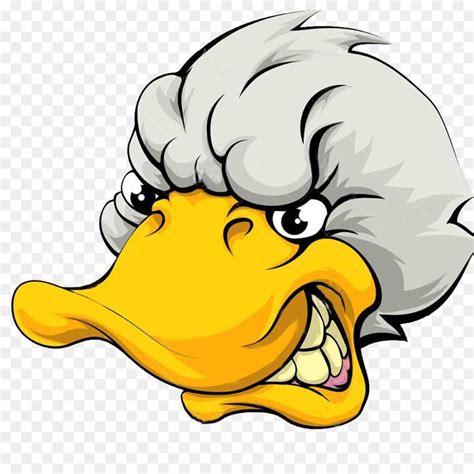 Donald Duck Vector At Collection Of Donald Duck