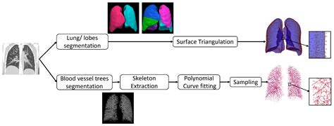 Robust Measures Of Image Registration Derived Lung Biomechanics In SPIROMICS