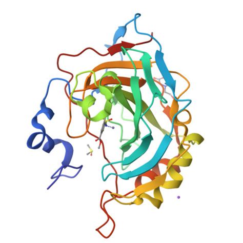 Rcsb Pdb 9fpt Crystal Structure Of Carbonic Anhydrase Ii With Methyl