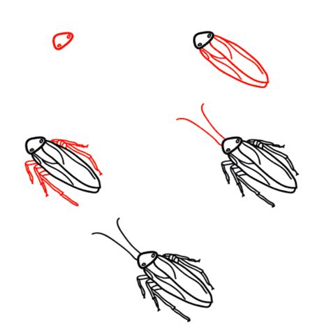 20 Easy Cockroaches Drawing Ideas Drawing Photos