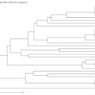 Dendrogram Constructed Based On MIRU VNTR Genotypes Using The UPGMA