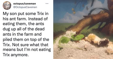 Jisha Joseph Scoop Upworthy