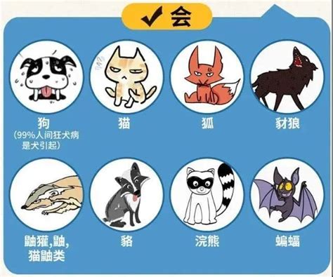 928世界狂犬病日同一个健康，零死亡澎湃号·政务澎湃新闻 The Paper