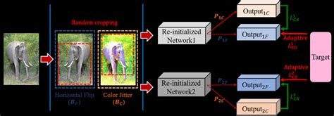 Procedure For The Proposed Single Step Training On The Pre Trained Network Download Procedure For The Proposed Single Step Training On The Pre Trained Network Download