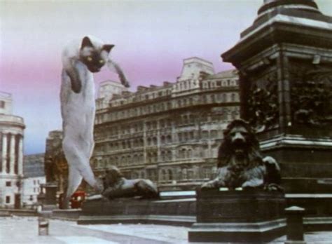 Monty Pythons Flying Circus How To Recognise Different Types Of