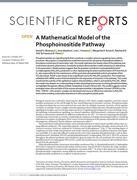 Pdf A Mathematical Model Of The Phosphoinositide Pathway