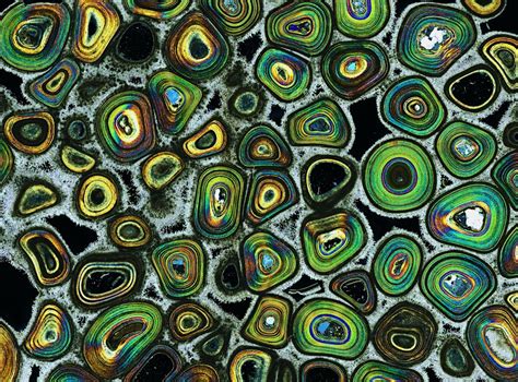 Oolites Under Magnification R Mineralporn