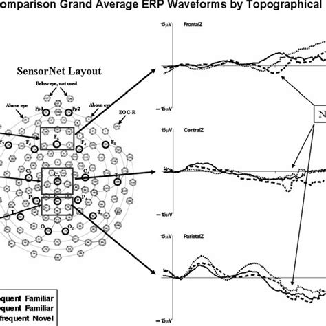The Grand Average Event Related Potential Erp Waveforms For The