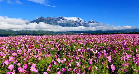 新时代中国美丽城市美丽乡村 巡礼