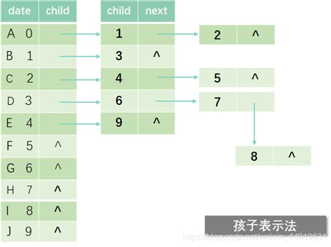树和森林数据结构森林的兄弟关系 Csdn博客