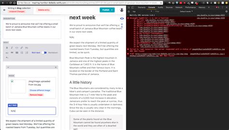 Image Upload Broken On Basic Demo Issue Decaporg Decap Cms