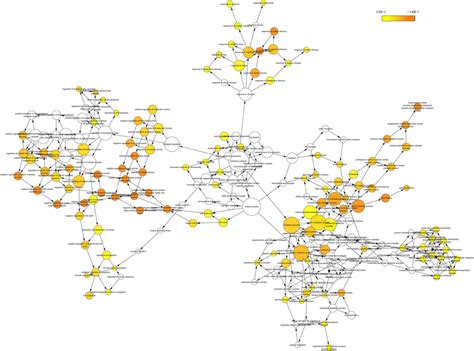 Network Visualization Of Significantly Overrepresented Go Terms Download Scientific Diagram