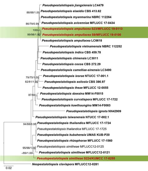 Phylogram Generated From Maximum Likelihood Analysis Based On Combined