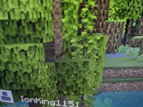 There Are Sticks In The Official Minecraft Bedrock Background R Phoenixsc