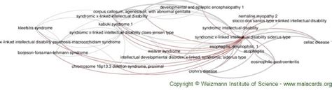 Syndromic X Linked Intellectual Disability Siderius Type Disease