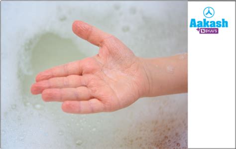 Plasmolysis In Biology Definition Types And Importance Of Plasmolysis Aesl