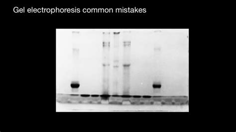 Nikolays Genetics Lessons On Linkedin Nikolaysgeneticslessons