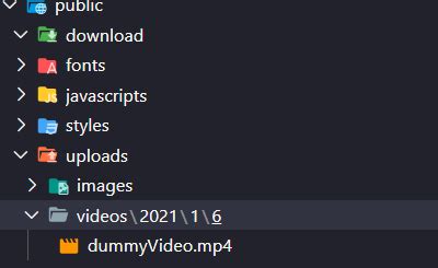 Mongodb Node Js Multer Video File Is Saved Uploaded But Validator