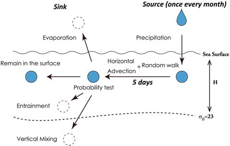 A Schematic Of The Lagrangian Particle Tracking Model For Tracking Download Scientific Diagram