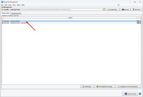 Using Sqlxml To Query And Update A Database Pilotfish Tutorial