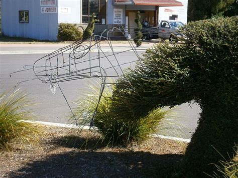 Cmca Rv Park Railton Tas Campground Reviews Australia