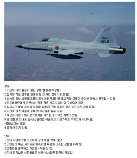 대한민국 공군 장단점  인스티즈 Instiz 이슈 카테고리
