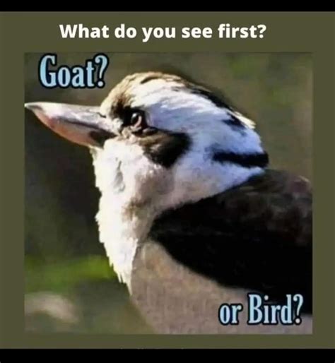 Solve Optical Illusion Jigsaw Puzzle Online With 90 Pieces