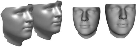 Sex Neutral Face Shape Models In Two Sizes Small And Large Calculated Download Scientific