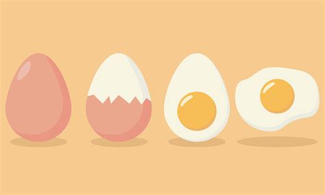 다양한 형태의 계란 튀김 삶은 반 벡터 삽화의 집합입니다 다양한 형태의 계란 흰색 배경에 격리된 만화 계란 갈색에 대한 스톡
