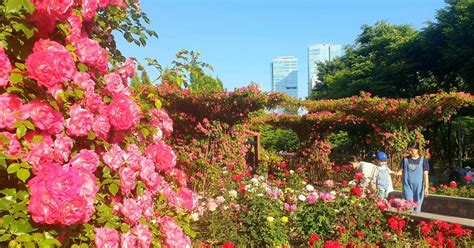 꽃처럼 아름다운 날… 소중한 추억 한 페이지