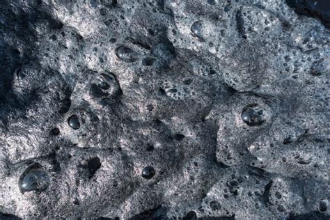 Exploring Techniques For Sludge Disposal Science Trends