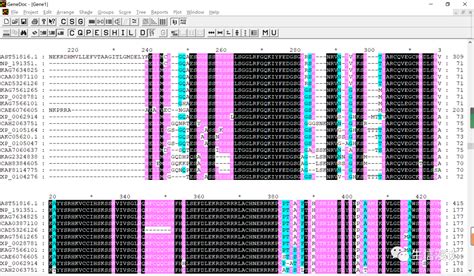 生信小白如何做出美美的多序列比对图 哔哩哔哩