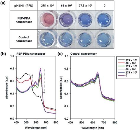 A Color Transition Images After Incubation Of The PEP PDA Nanosensor Download Scientific