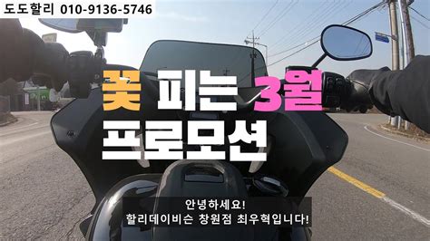 할리데이비슨 3월 프로모션 22년 재고 할리데이비슨 도도할리 최우혁 Youtube