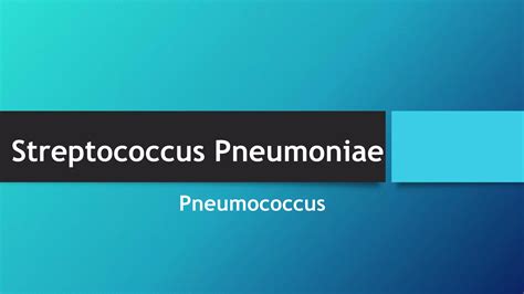Streptococcus Pneumoniae Bacteria Microbiology Lecture Ppt