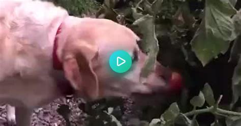 Monch Monch Monch Album On Imgur