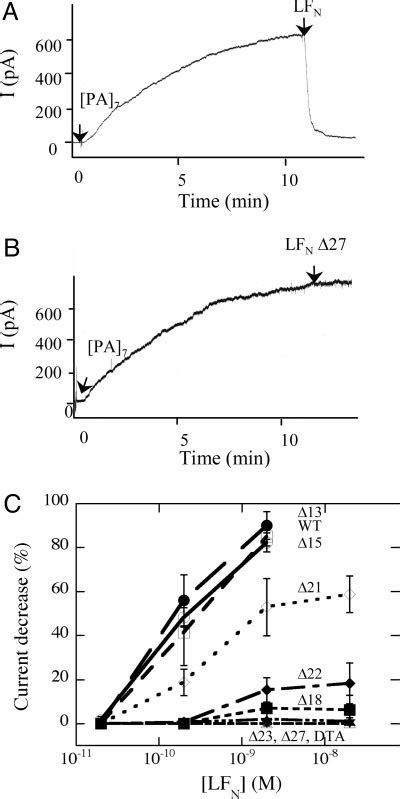 effects of n terminal deletions on the ability of lfn to inhibit pa