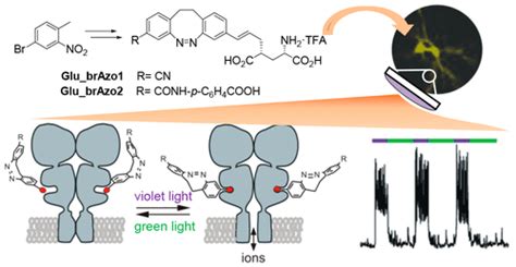 Organic Letters Vol 21 No 10