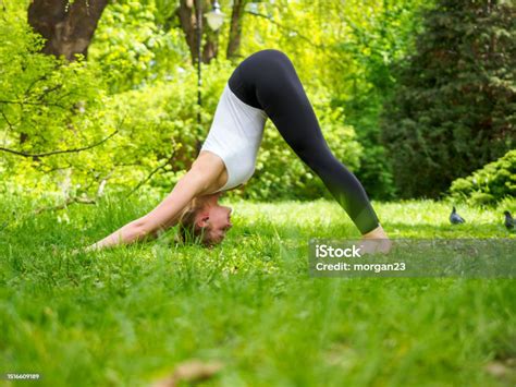 화창한 여름날 공원에서 야외에서 요가를 연습하는 젊은 예쁜 금발 여성 Adho Mukha Svanasana 또는 아래쪽을 향한