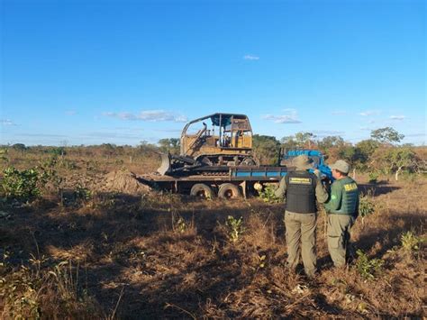 Você viu Ibama apreende tratores e embarga 5 mil hectares