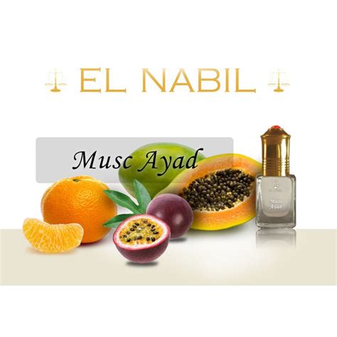 Parfum Musc Ayad El Nabil 5 Ml Alif Store