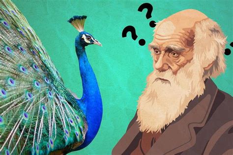 The Surprising Power Of Sex In Evolution Georgia Public Broadcasting