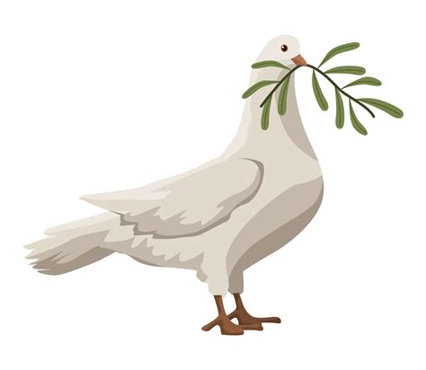 Dove With Olive Branch 11233884 Vector Art At Vecteezy