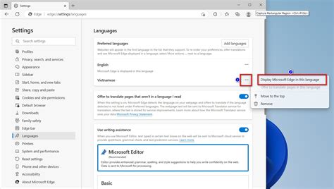 Hướng Dẫn Thay Đổi Công Cụ Tìm Kiếm Trên Microsoft Edge 21AK22