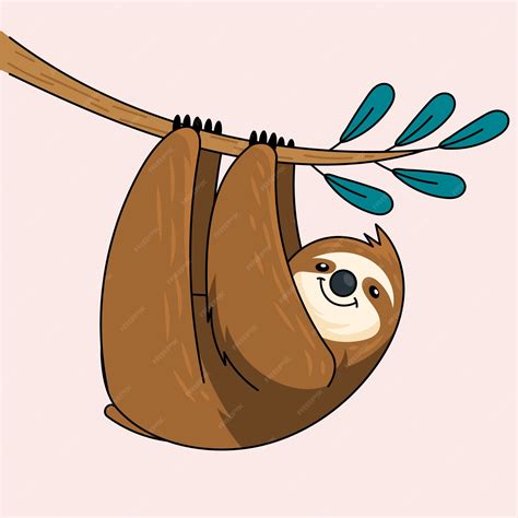 Illustration De Paresseux Dessin Animé Dessiné à La Main Vecteur Premium