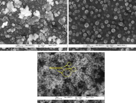 SEM Image Of The Specimens A Baseline ZnO B Mg Doped ZnO And C