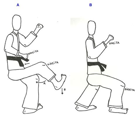 Karatê Shotokan Biomecânica Dos Golpes Do Kumitê De Competição