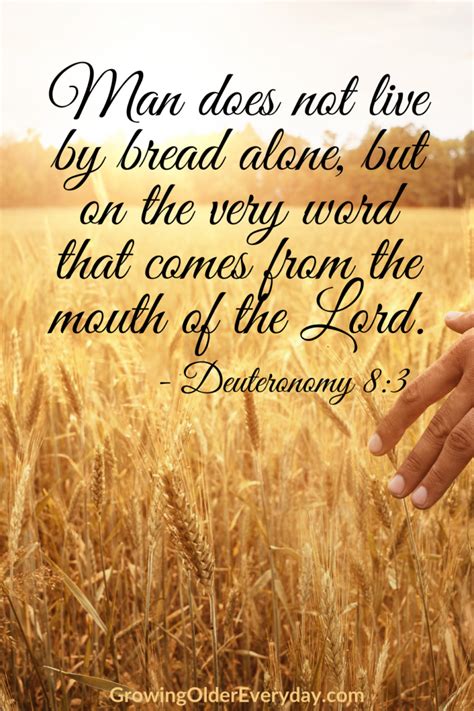 Man Does Not Live By Bread Alone Growing Older Everyday